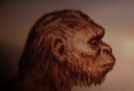 Man evolved from apes,A fact or a myth.