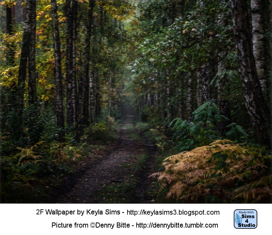 Keyla Sims : TS4 Custom Content: Forest Wallpapers