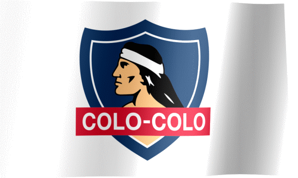 Colo-Colo Fan Flag (GIF) - All Waving Flags