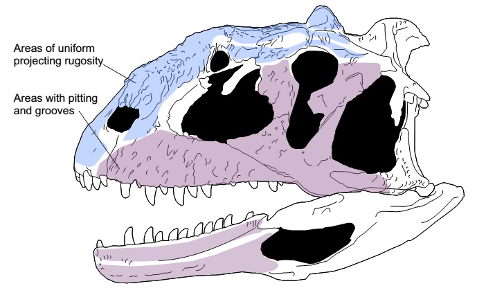 Mark Witton.com Blog: May 2017