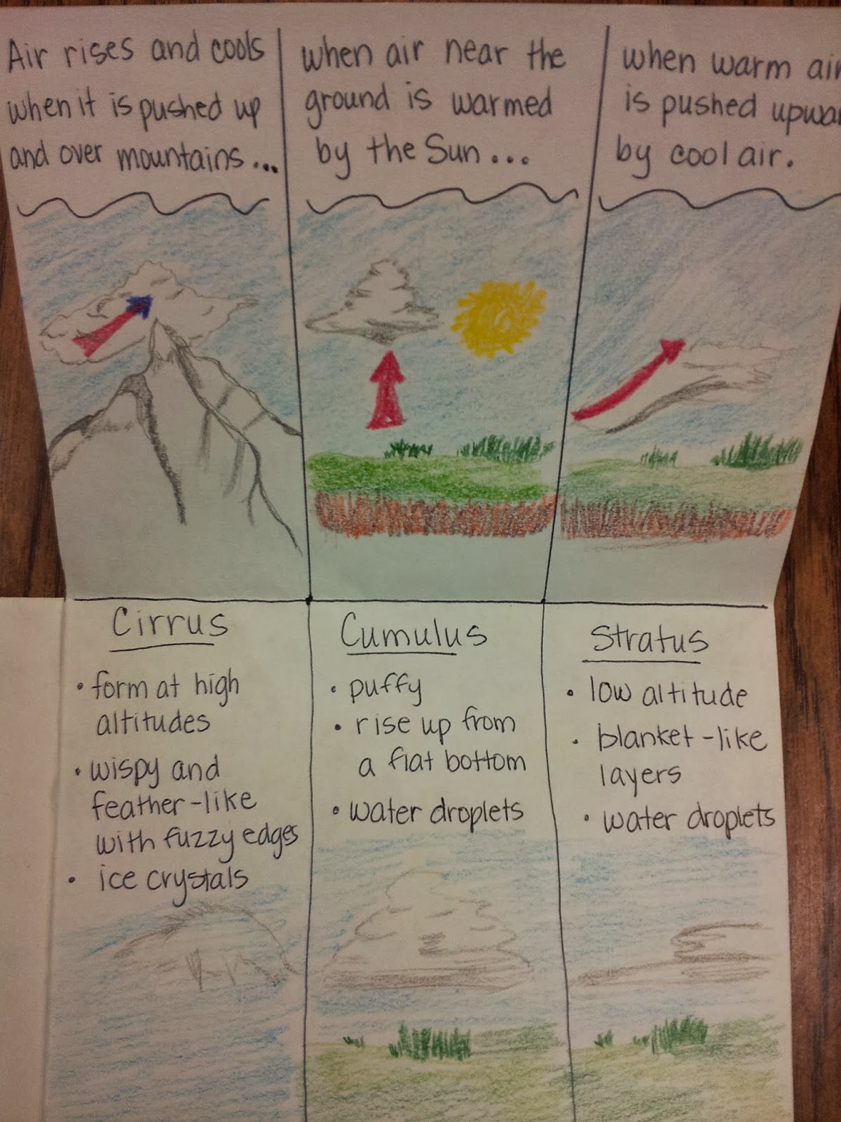 Adventures in Fifth Grade