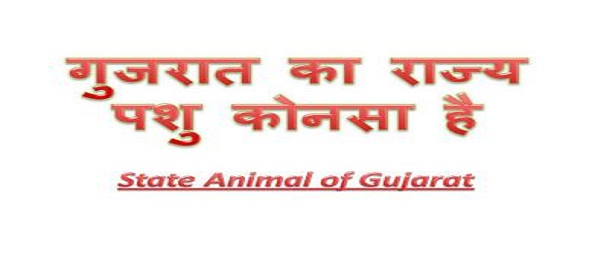 gujarat ka rajya pashu | State Animal of Gujarat - GK Online
