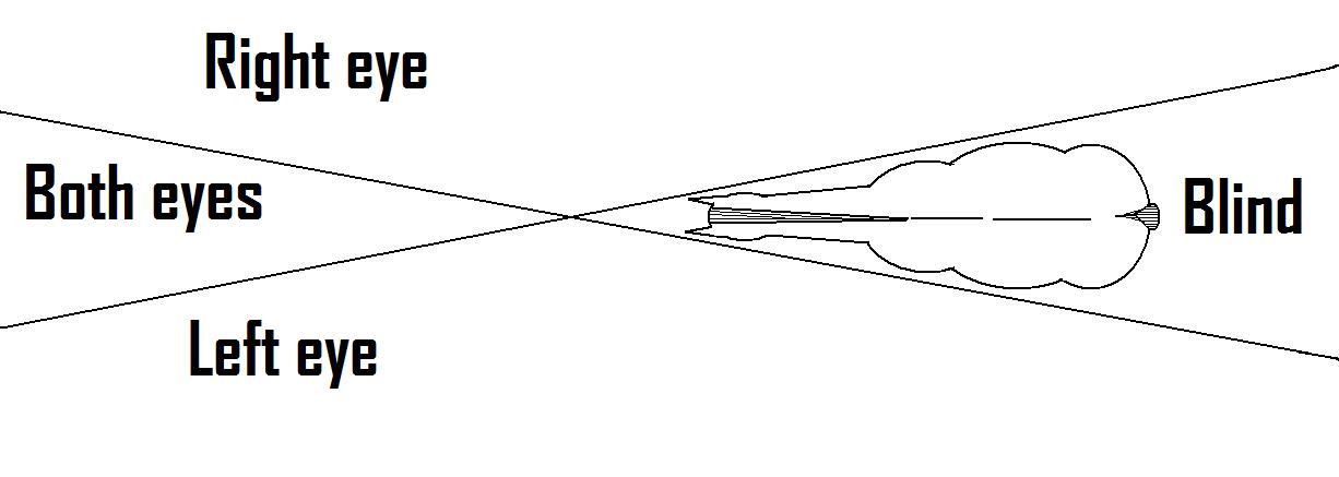 My Equestrian World: The Horses Line of Sight