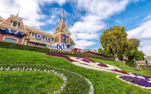 Disney Photoblography