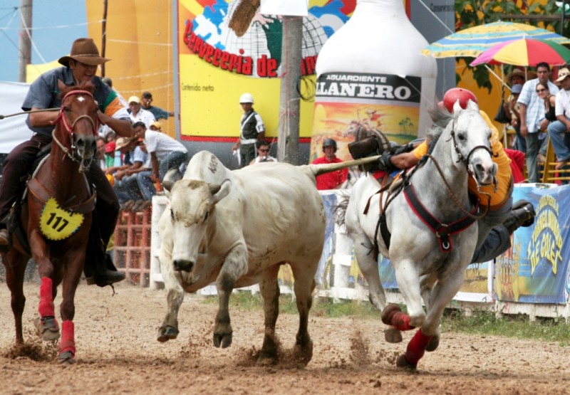 llanero sport (coleo)
