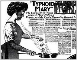 MICROBIOLOGIA MEDICA: Maria Tifoidea