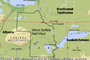 EDUTENIMIENTO : WOOD BUFFALO NATIONAL PARK