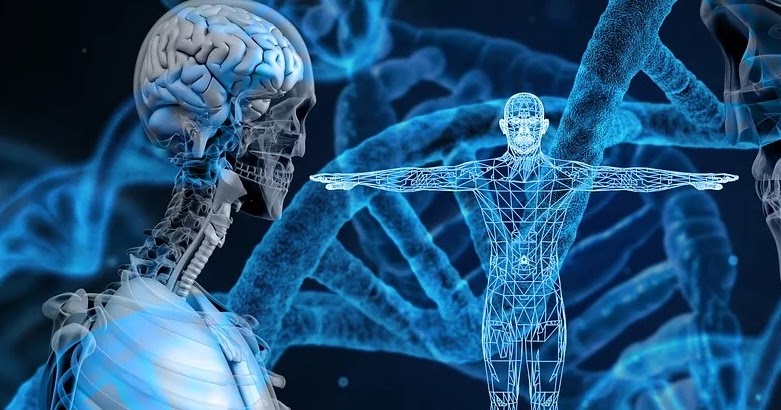 How much innate knowledge can the genome encode?