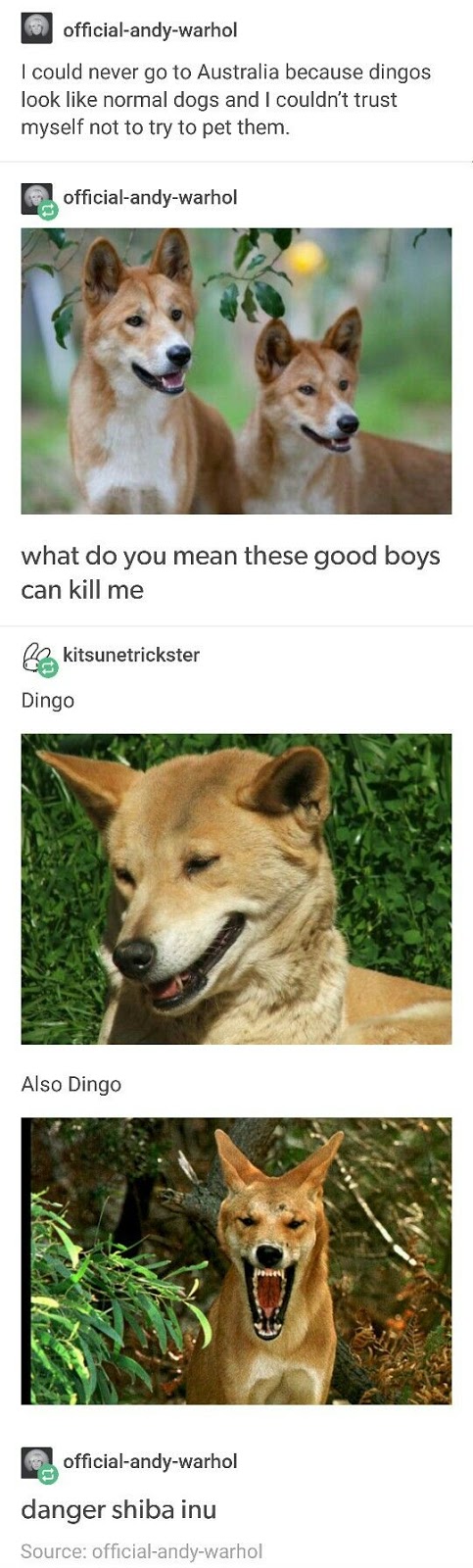 FunFun RV: DISGUSTING JOKES