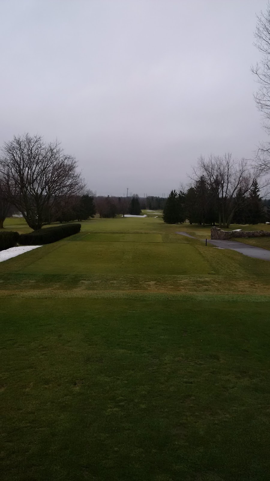 Whitevale Golf Club: January 2017