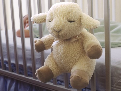 Southern Bourbon Mountains: Best Baby Registry Items Part 1-Bourbon Edition