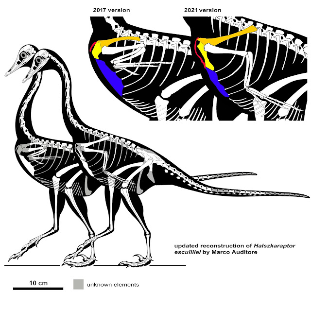 Theropoda: Halszkaraptor Strikes Back! – Episodio 1: Nuovi elementi del ...