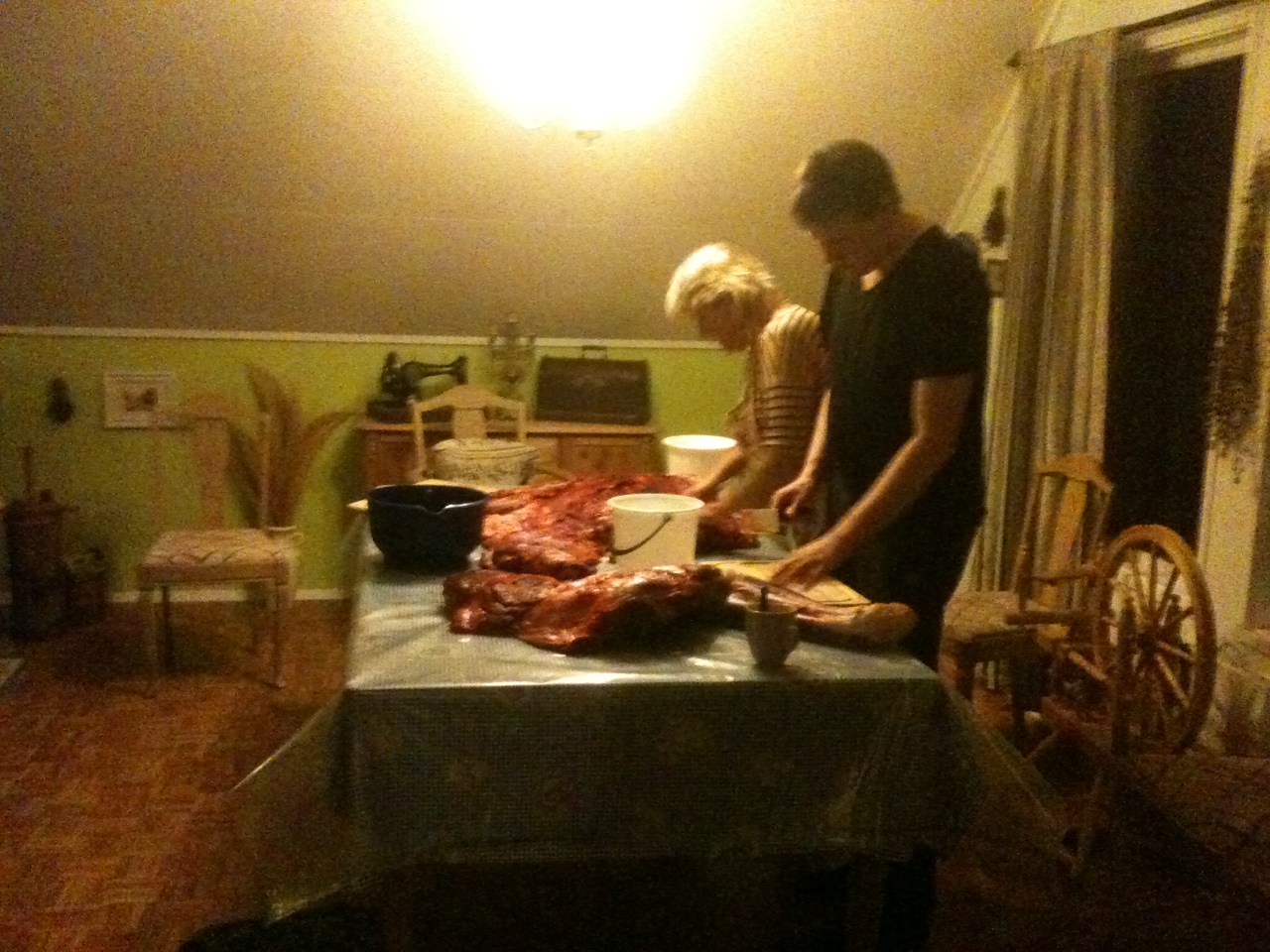 Hønemors hverdag: Partering av elg