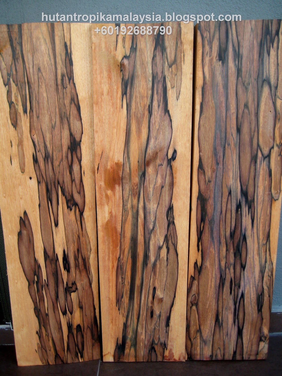 金山香料貿易 : Kayu arang bunga