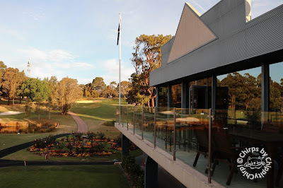 MSG Cafeteria: North Ryde Golf Club, North Ryde