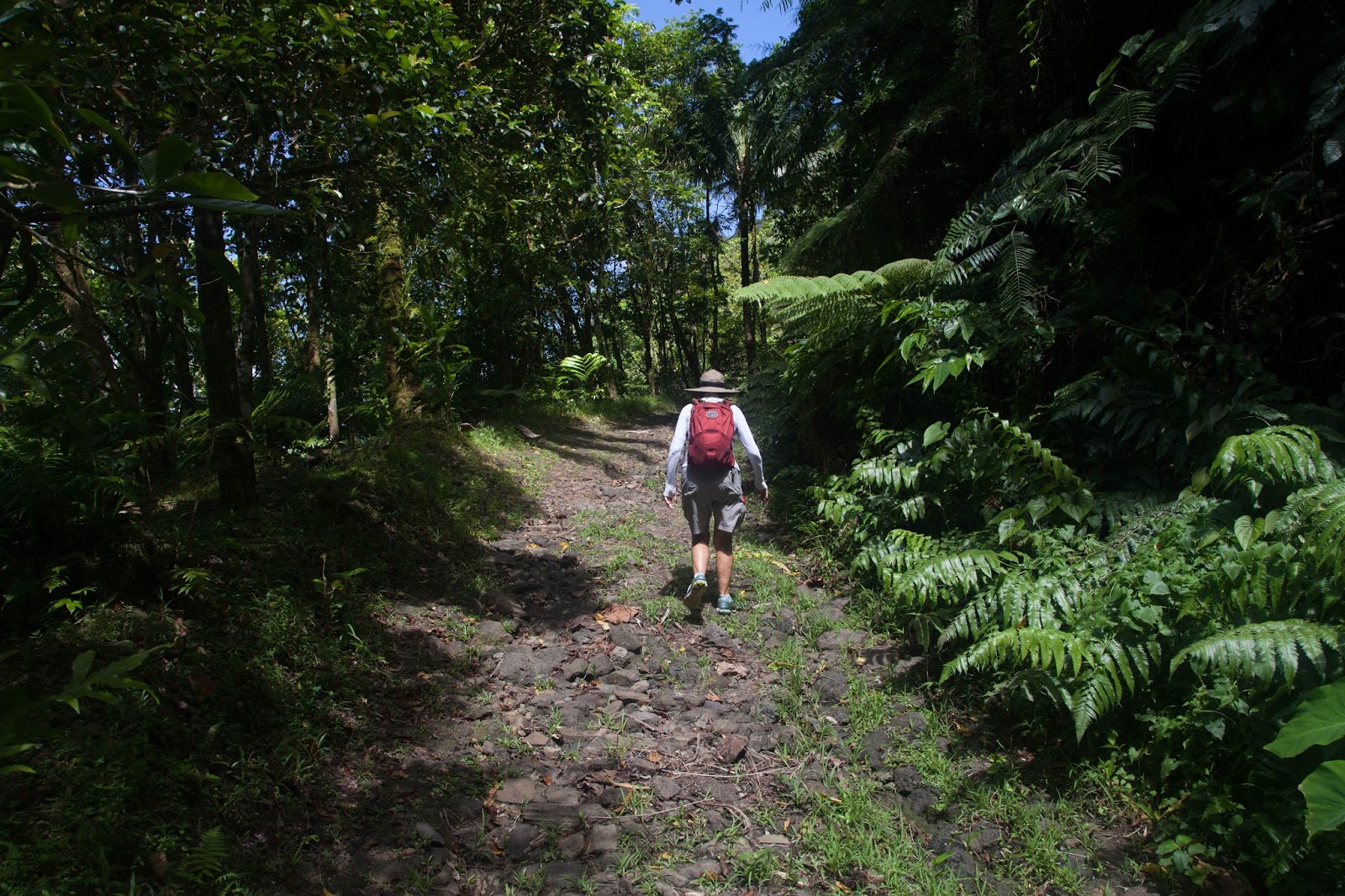 Binkelian Trek Trax: NP#59 - American Samoa