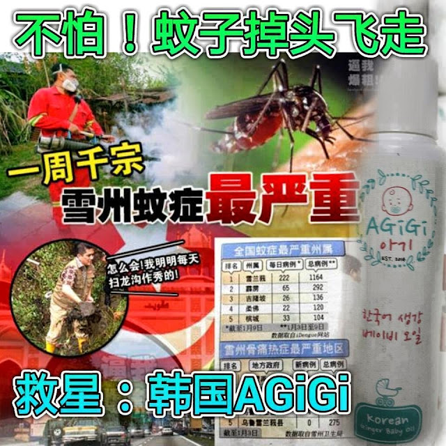 Summer Beauty: 【AGiGi Baby Oil】