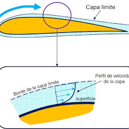 El vuelo de la Gran Avutarda