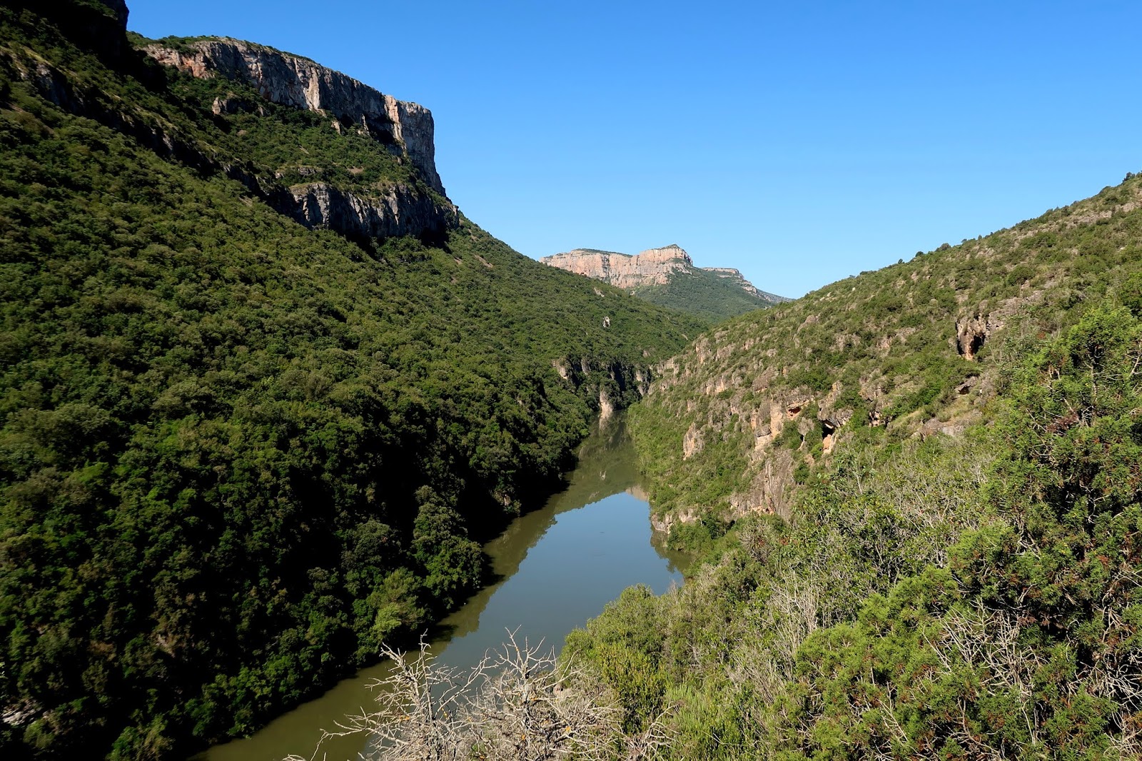La luz de la montaña: Congost de Mu
