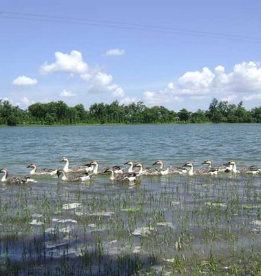 Historical Places: Historical Place of Bangladesh-Ramsagar