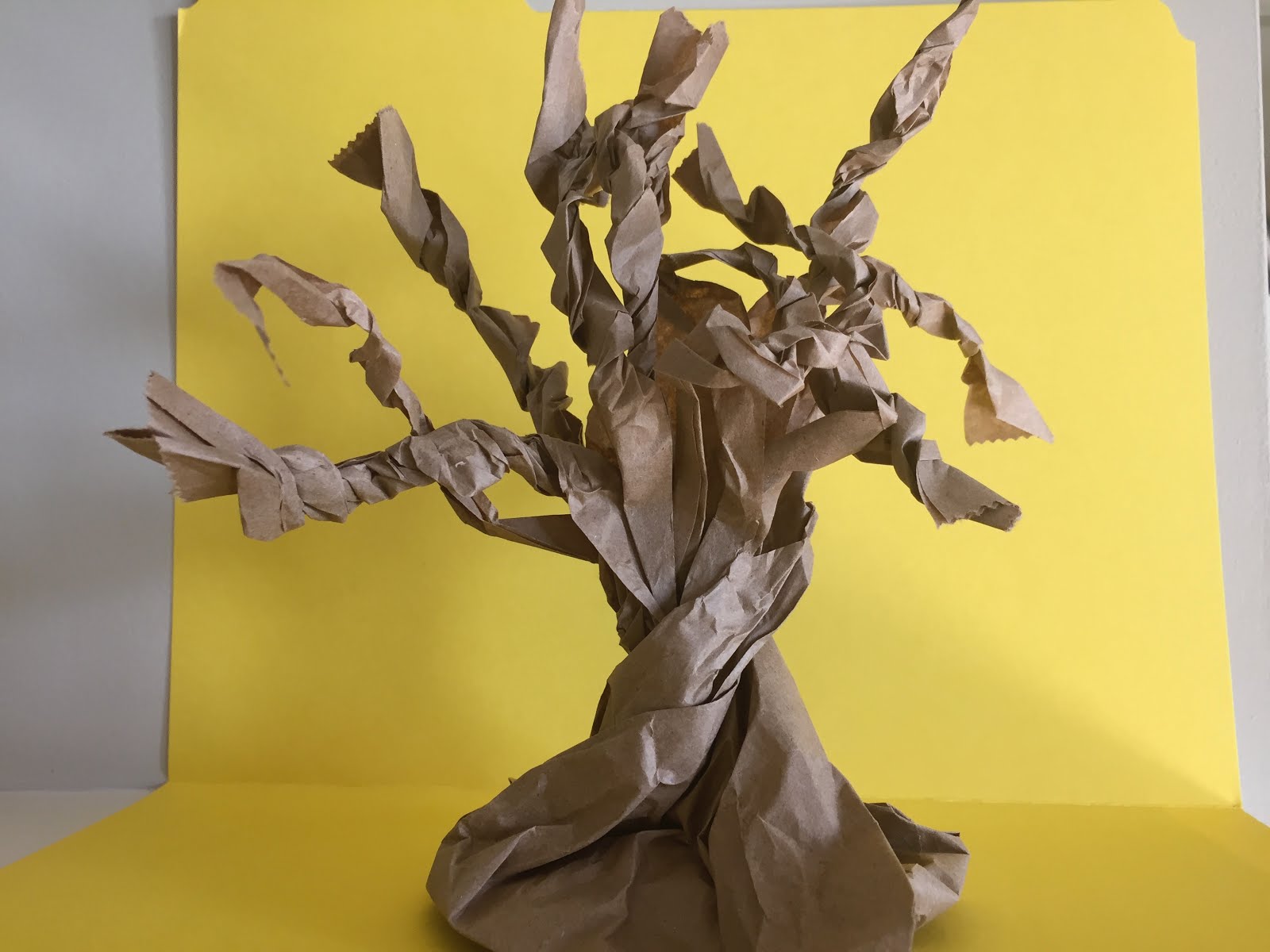 A TREE FOR ALL SEASONS - Dr. Jean & Friends Blog