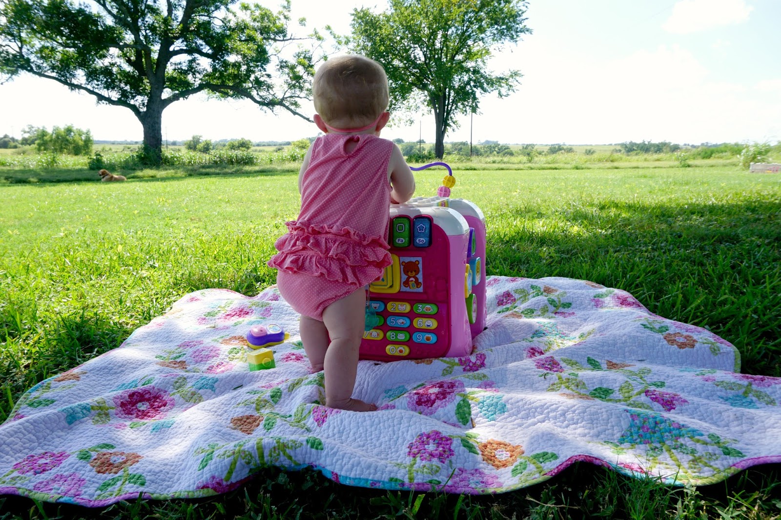 * Little House in the Country: Byyeeeee Summerrrrrrr!