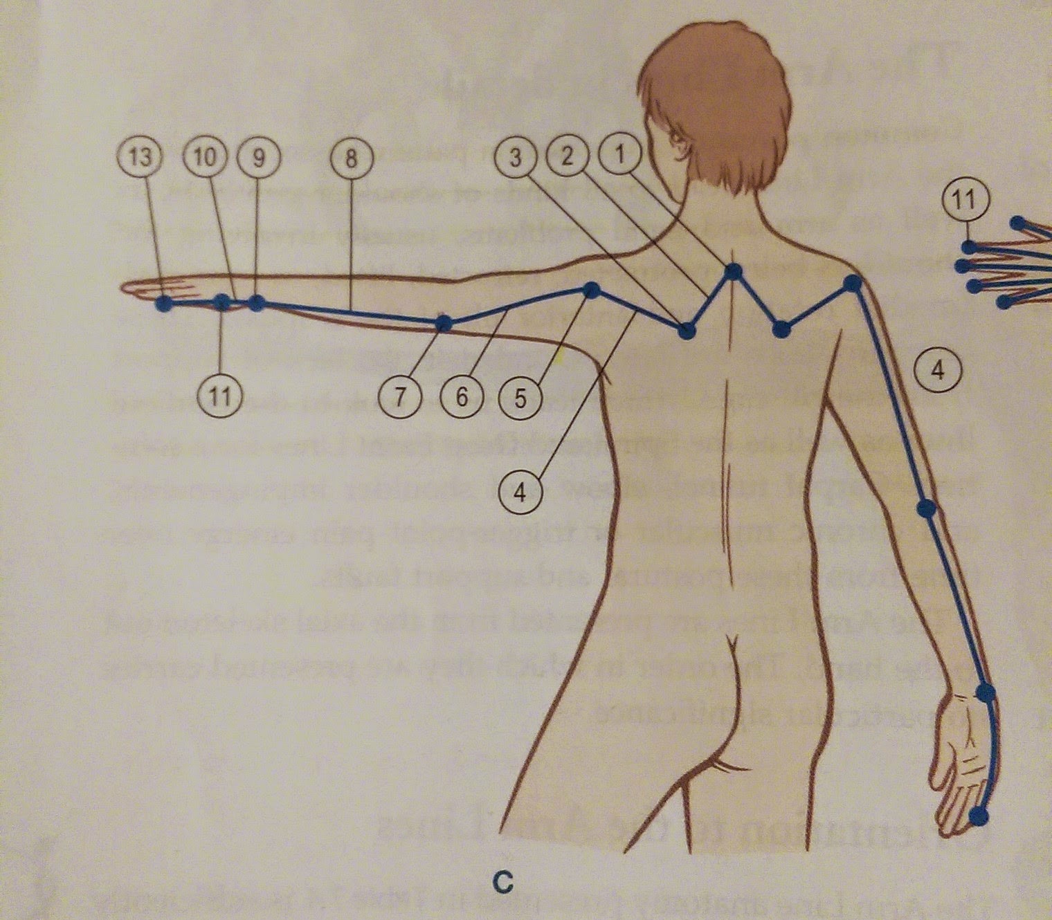 Balance: 7. The Deep Back Arm Line