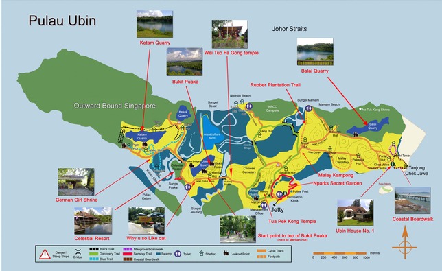 fatclay.com | Fat Clay: Going back to nature in Singapore, Pulau Ubin ...