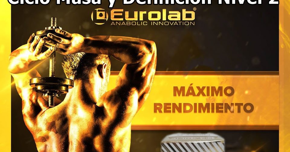 Ciclo Masa y Definicion Nivel 2 - precio ( $2,800 pesos ) Eurolab Premium | Musculo Musculo