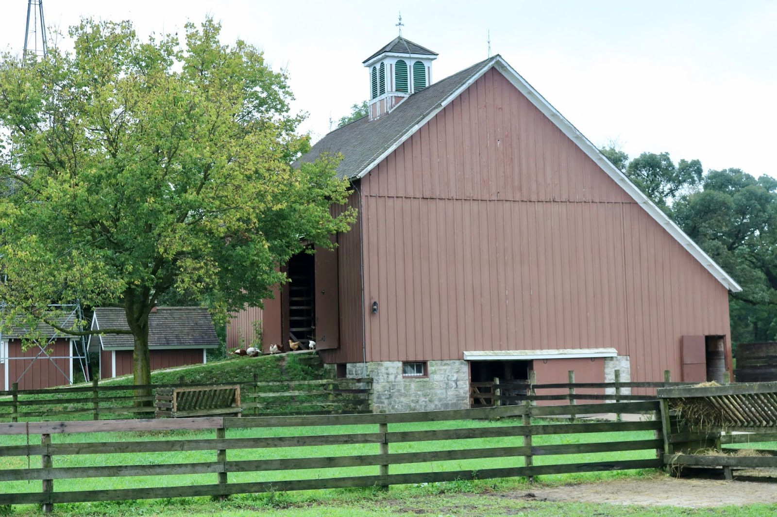 Amy's Creative Pursuits: Grandma & Me: "Fun At Kline Creek Farm