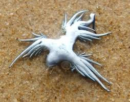 1. Camuflagem com cor