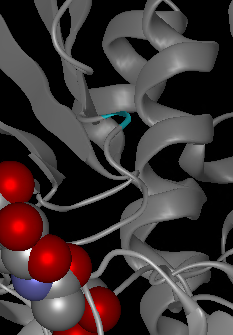 Fabry Disease and the GLA Gene