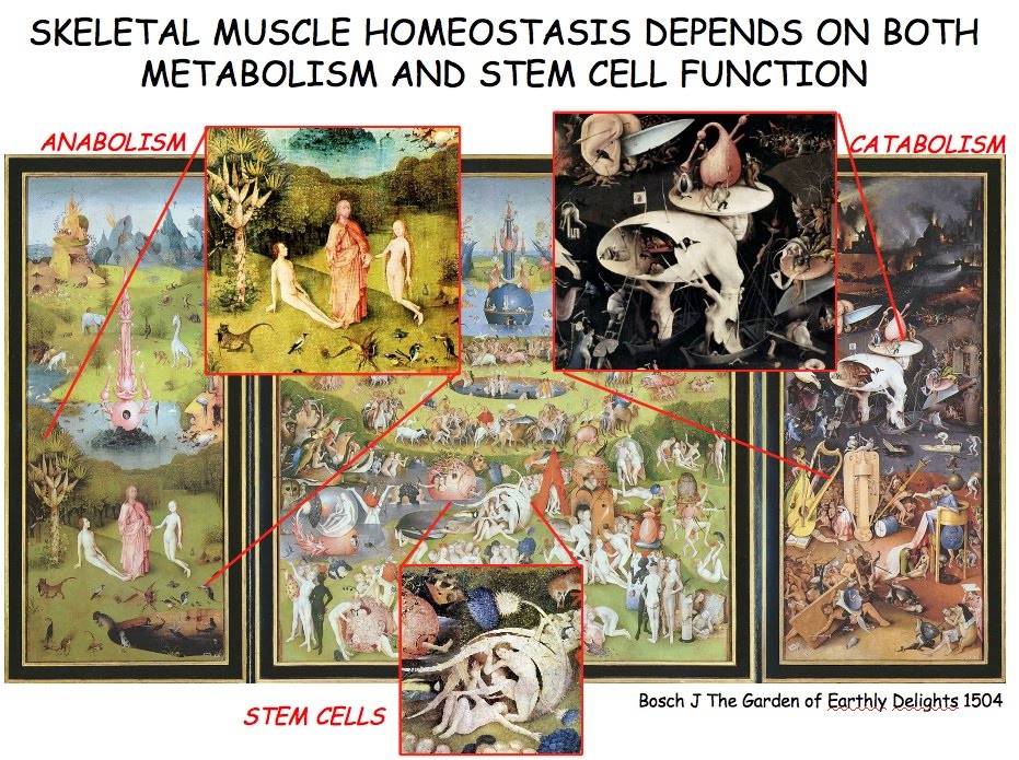 Dario Coletti's science cellar: CLASSES, LECTURES ETC: Mechanisms ...