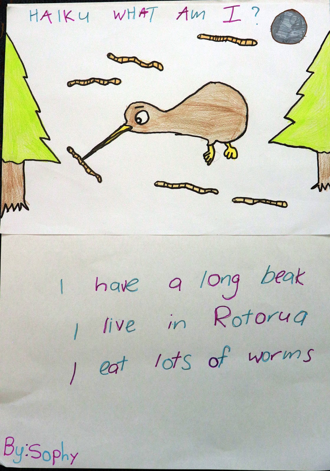 Rotorua Artist Janet Keen's Photography, Mosaics, Paintings & Writing ...