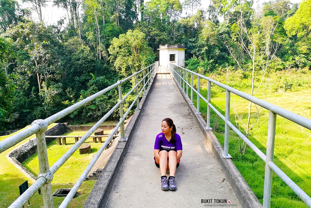 Bukit Tokun 大山脚【卓坤山】孟光水坝 | 板根大树 | 山顶电讯塔 - 乐飞翎 ♥ LUVFEELIN