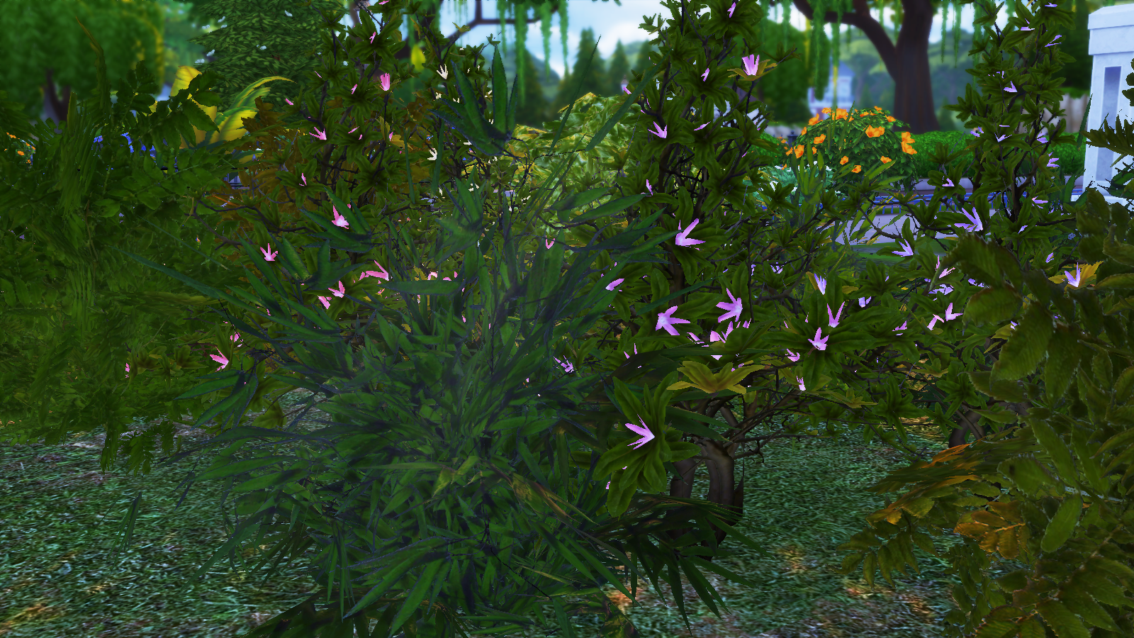 Helen-sims: TS4 Bushes set