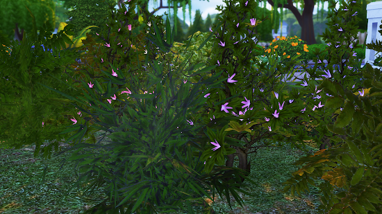 Helen-sims: TS4 Bushes set