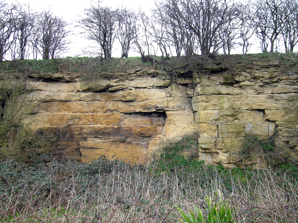 The Language of Stone: An Exploration of Barnburgh - Part 2