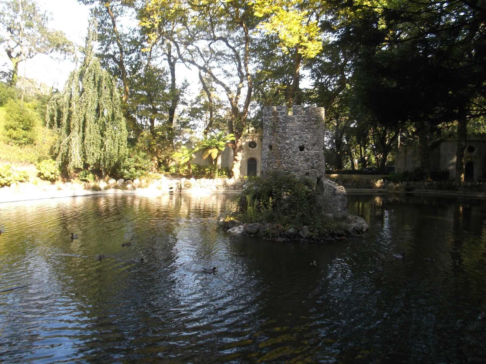 Chá de Limonete: 2017