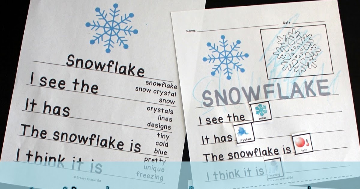 Winter Themed LA, Math, and Crafts: Lessons for Special Education ...