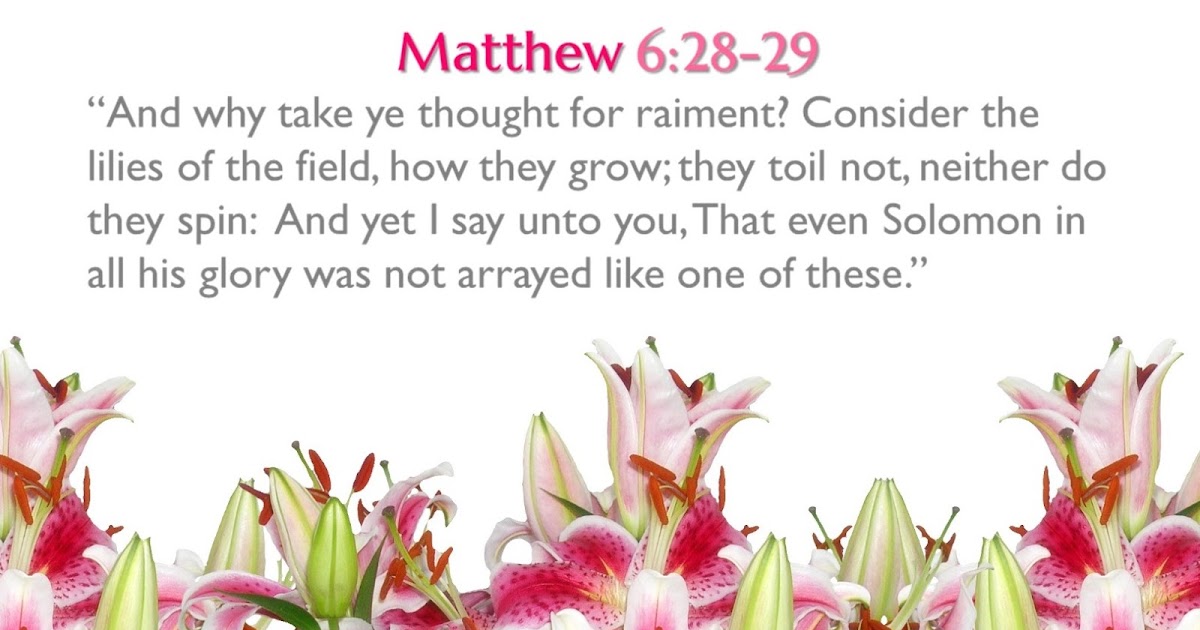 Faith Moments Devotional: My God Is My Provider