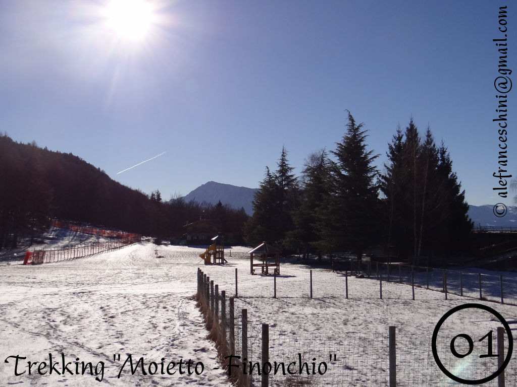 Trekking in Trentino: Moietto > Rifugio "Fratelli Filzi" (Finonchio)