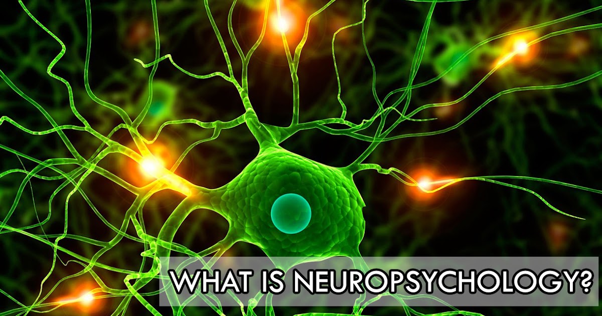 WHAT IS NEUROPSYCHOLOGY?