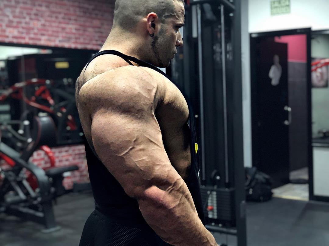 Young Spanish semental Roberto Merlo | World Wide BodyBuilders