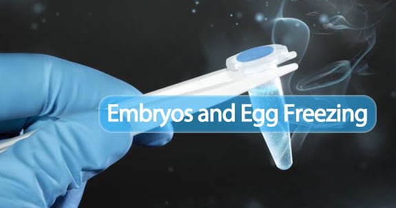 Egg Freezing Procedure, Purpose and Treatment: Indira IVF