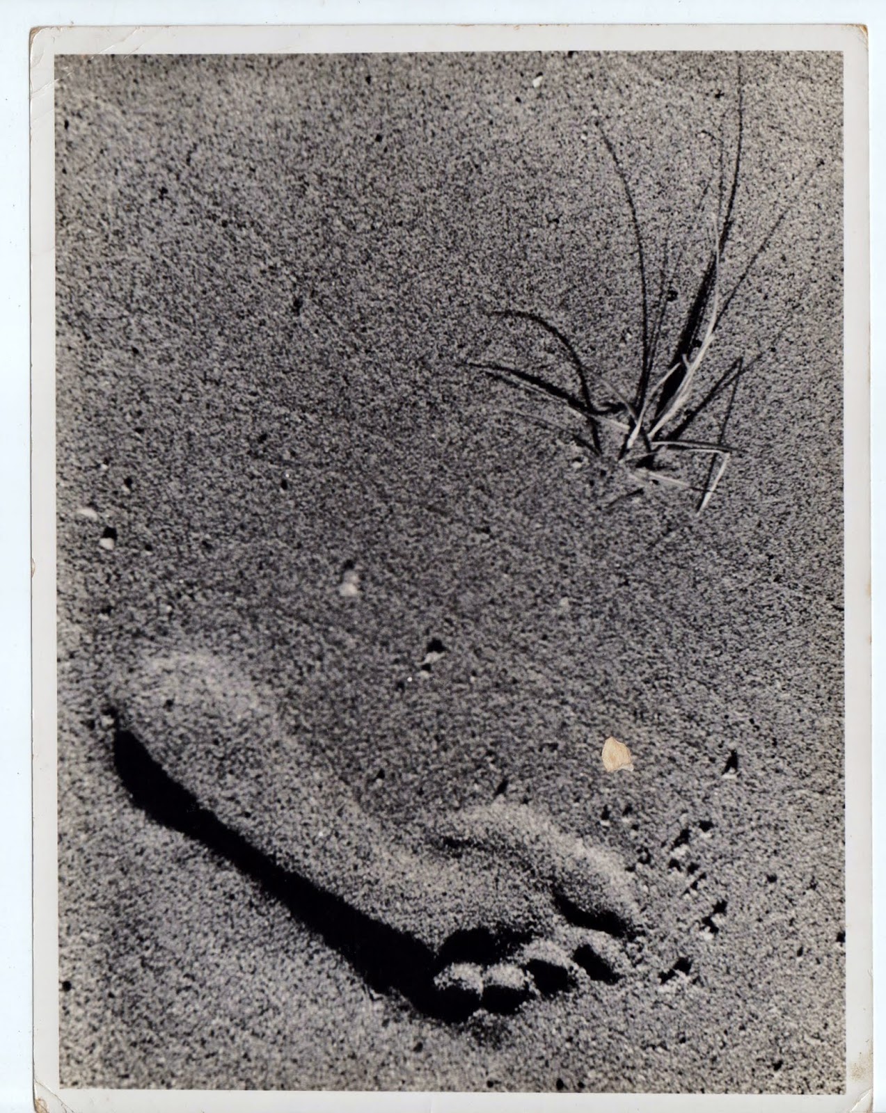 Little Darwin: MAN FRIDAY'S CHANGING FOOTPRINTS