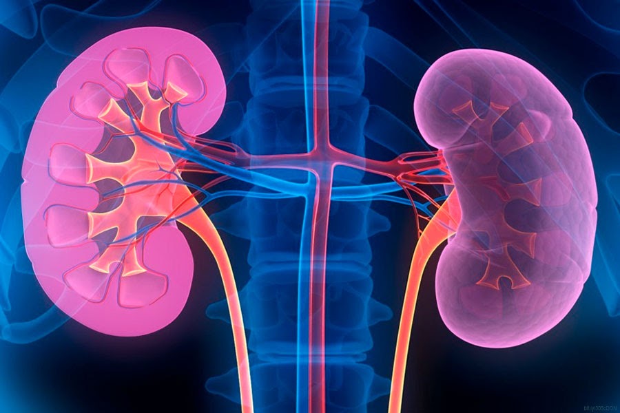 Acidosis tubular renal