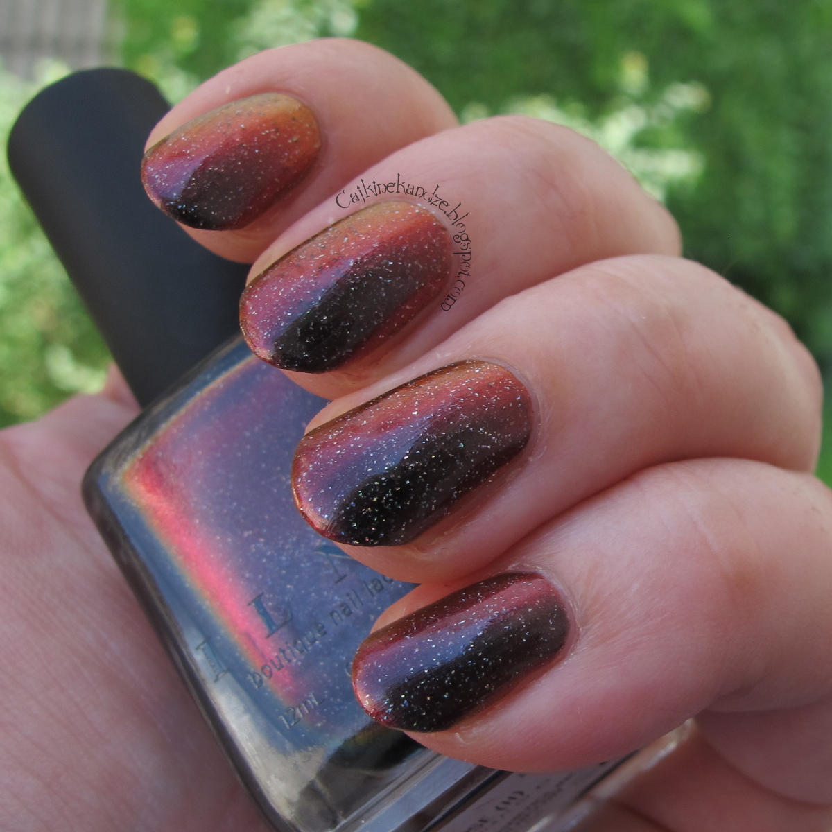 ILNP Eclipse (H) | Cajkine kandže i sve njihove boje