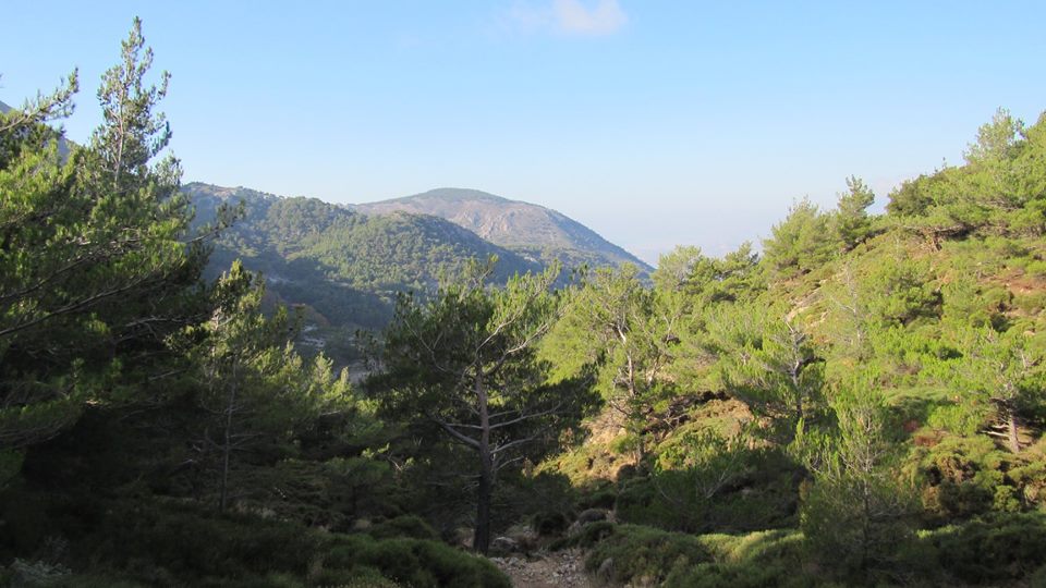 EXPLORE MOUNTAINS: ΠΕΖΟΠΟΡΙΑ ΣΤΟ ΔΑΣΟΣ ΤΗΣ ΘΡΥΠΤΗΣ