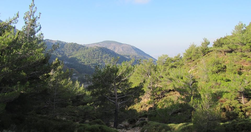 EXPLORE MOUNTAINS: ΠΕΖΟΠΟΡΙΑ ΣΤΟ ΔΑΣΟΣ ΤΗΣ ΘΡΥΠΤΗΣ